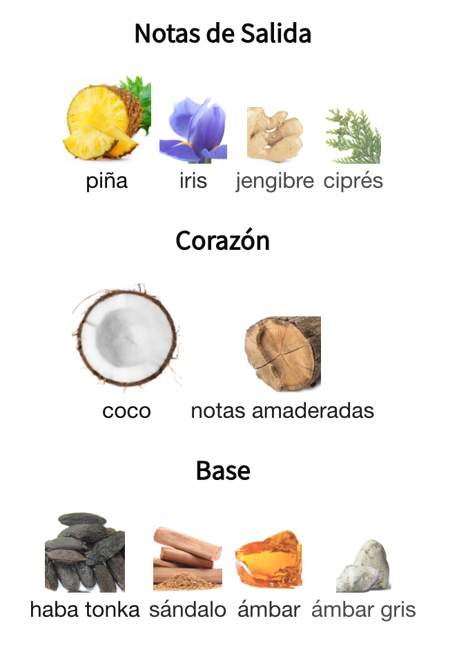 Le Beau Le Parfum EDP - Jean Paul Gaultier - 125ml Para Hombre – TVX45.COM